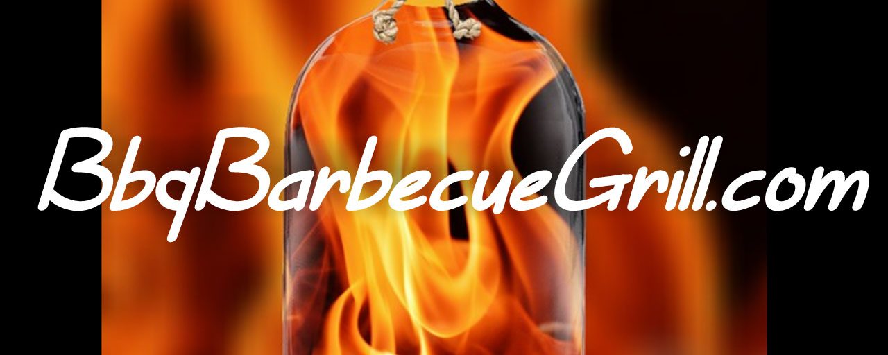 Finding the Best Electric Grill with Lava Rocks in [...] - BBQ, Grill